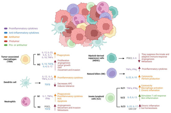 Molecules | Free Full-Text | Antioxidant and Anti-Inflammatory ...