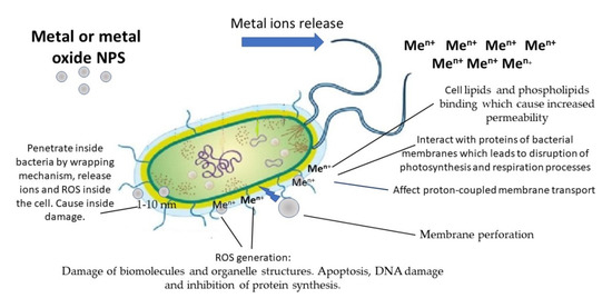 Hybrid Nanosystems of Antibiotics with Metal Nanoparticles—Novel ...
