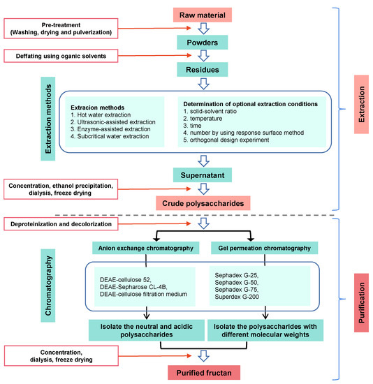 Preparation, Structural Characterisation, and Bioactivities of Fructans ...