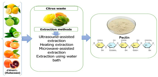 Citrus Waste as Source of Bioactive Compounds: Extraction and Utilization in Health and Food ...