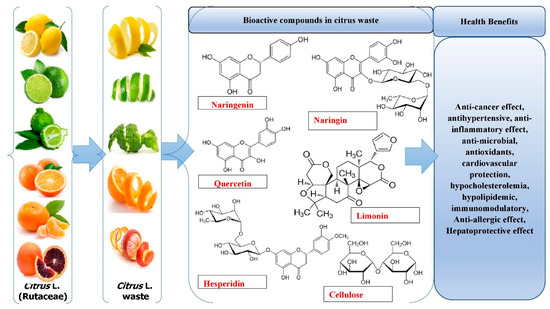 Citrus Waste as Source of Bioactive Compounds: Extraction and ...