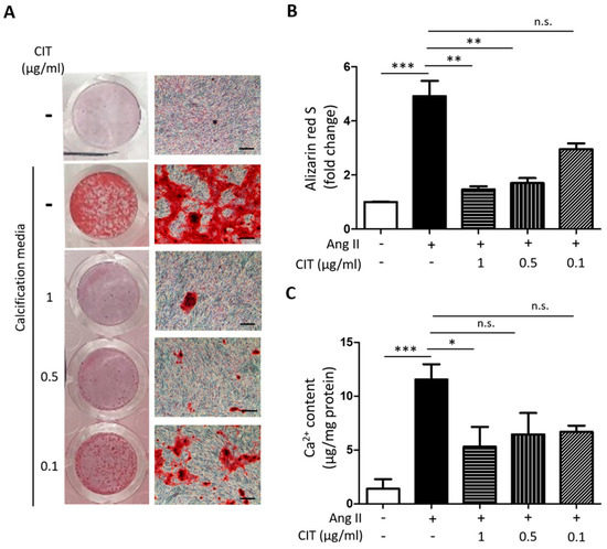 Molecules | Free Full-Text | A Low Concentration of Citreoviridin ...