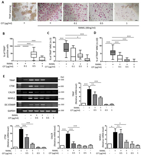 Molecules | Free Full-Text | A Low Concentration of Citreoviridin ...