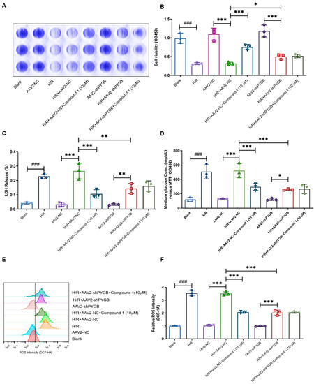 A Novel 5-Chloro-N-phenyl-1H-indole-2-carboxamide Derivative as Brain ...