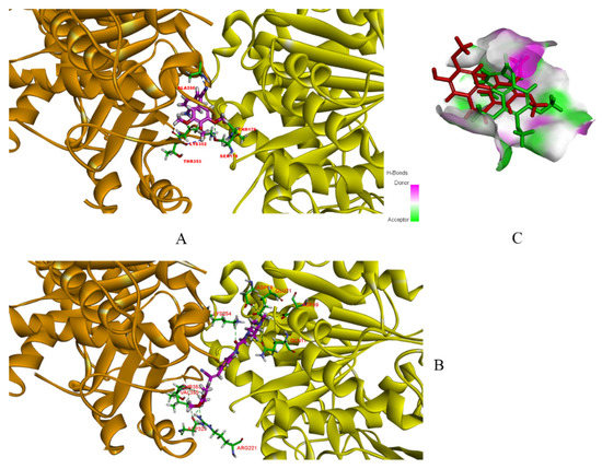 Development of Combretastatin A-4 Analogues as Potential Anticancer Agents with Improved Aqueous ...