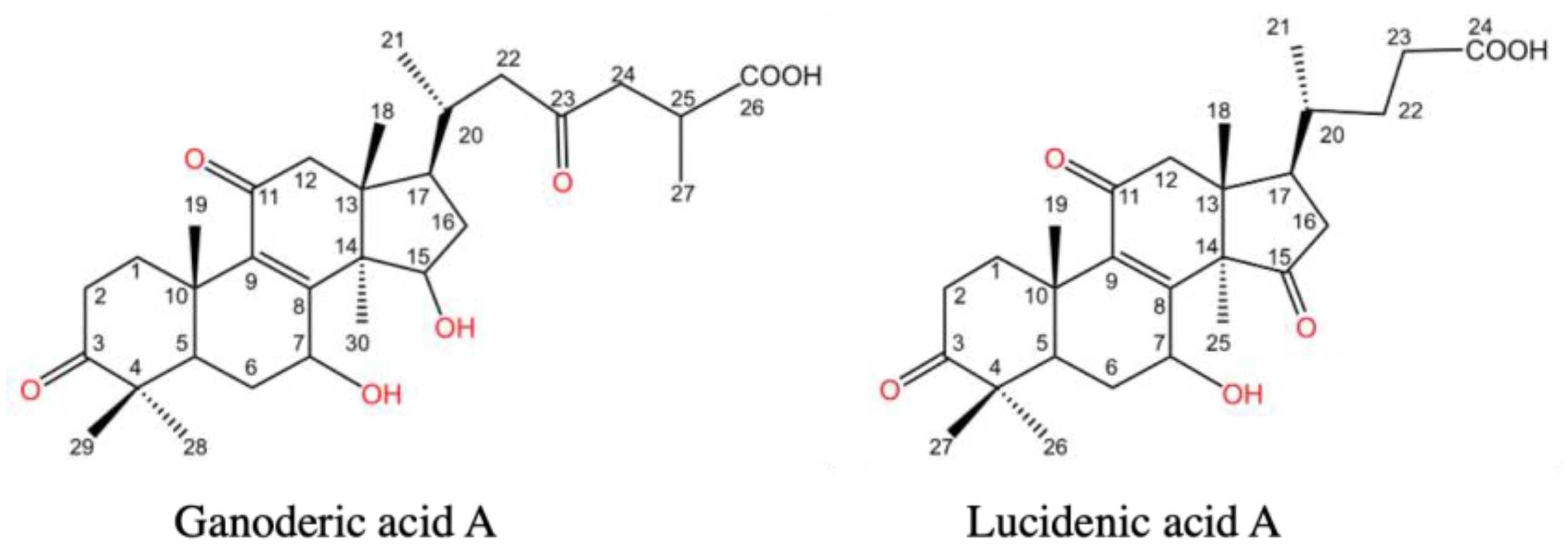 A Review on the Sources, Structures, and Pharmacological Activities of ...