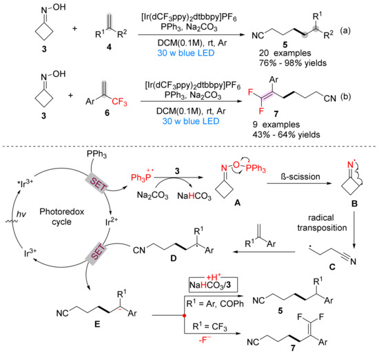Recent Advances in N-O Bond Cleavage of Oximes and Hydroxylamines to ...