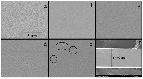 Molecules | Free Full-Text | A Review of Current Trends on Polyvinyl ...