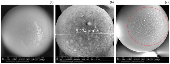 Molecules | Free Full-Text | 3D Active Brownian Motion of Single Dust ...