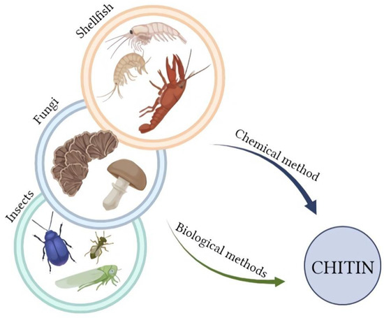 Chitosan Based Materials in Cosmetic Applications: A Review