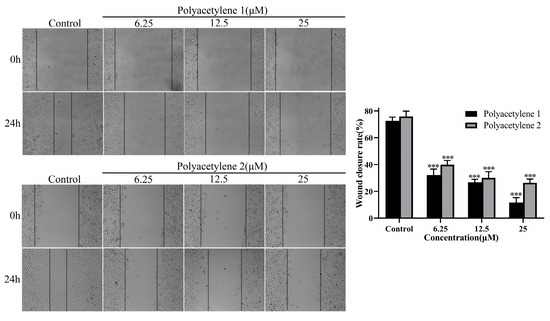 Polyacetylene Isomers Isolated from Bidens pilosa L. Suppress the ...