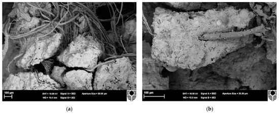 Alkaline Degradation of Plant Fiber Reinforcements in Geopolymer: A Review