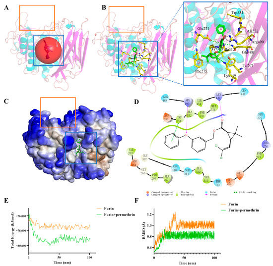 Permethrin as a Potential Furin Inhibitor through a Novel Non ...