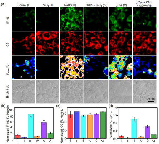 Ratiometric Near-Infrared Fluorescence Liposome Nanoprobe for H2S ...