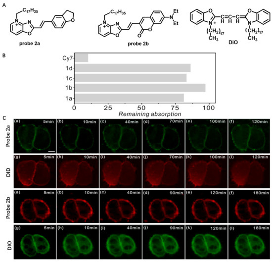 Molecular Engineering of Near-Infrared Fluorescent Probes for Cell ...
