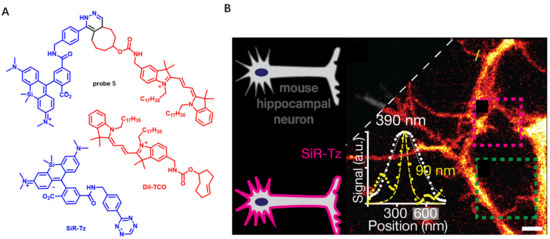 Molecular Engineering of Near-Infrared Fluorescent Probes for Cell ...