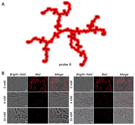 Molecular Engineering of Near-Infrared Fluorescent Probes for Cell ...