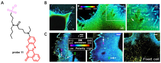Molecular Engineering of Near-Infrared Fluorescent Probes for Cell ...