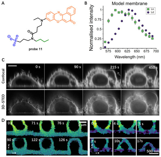 Molecular Engineering of Near-Infrared Fluorescent Probes for Cell ...
