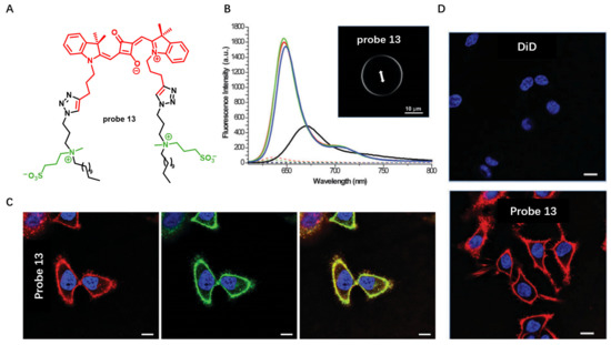 Molecular Engineering of Near-Infrared Fluorescent Probes for Cell ...
