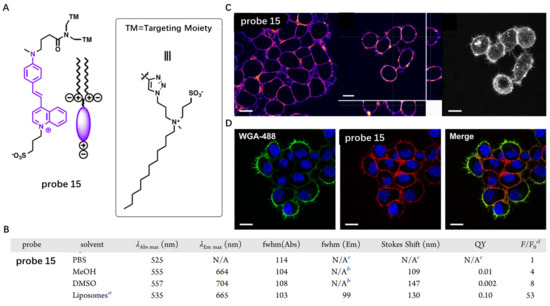 Molecular Engineering of Near-Infrared Fluorescent Probes for Cell ...
