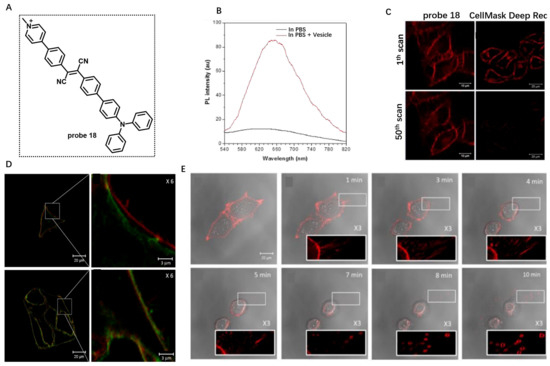 Molecular Engineering of Near-Infrared Fluorescent Probes for Cell ...
