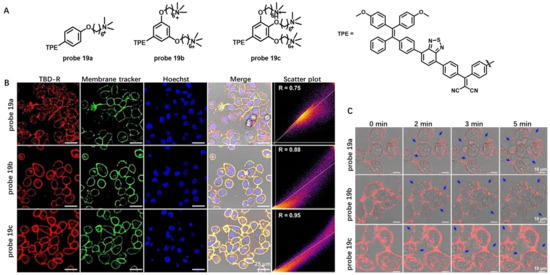 Molecular Engineering of Near-Infrared Fluorescent Probes for Cell ...