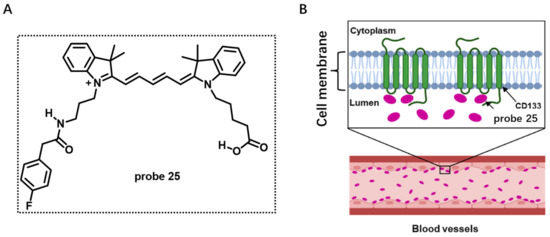 Molecular Engineering of Near-Infrared Fluorescent Probes for Cell ...