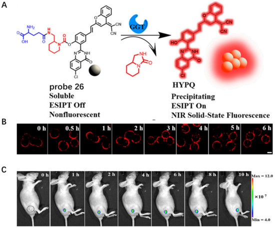 Molecular Engineering of Near-Infrared Fluorescent Probes for Cell Membrane Imaging