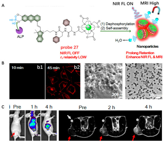 Molecular Engineering of Near-Infrared Fluorescent Probes for Cell ...