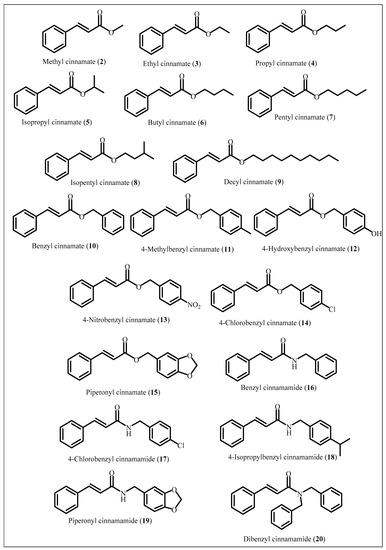 Synthetic Cinnamides and Cinnamates: Antimicrobial Activity, Mechanism ...