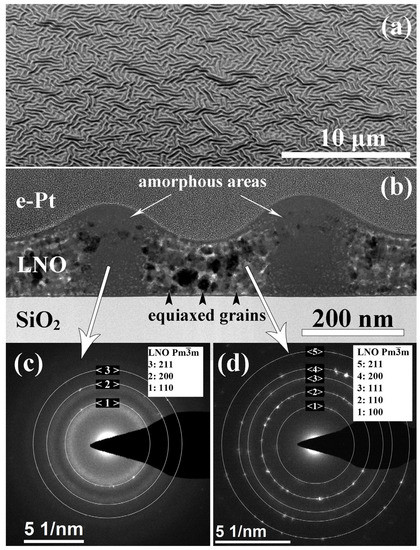 Control of Columnar Grain Microstructure in CSD LaNiO3 Films