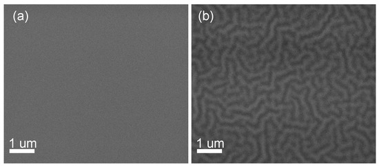 Control of Columnar Grain Microstructure in CSD LaNiO3 Films