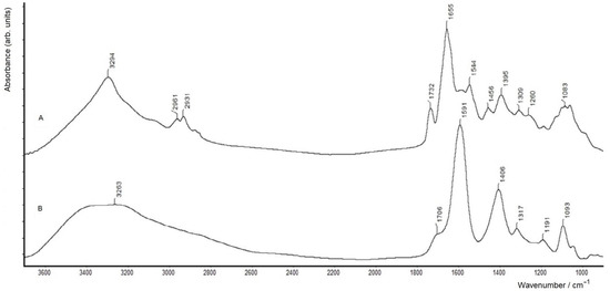 Fourier Transform Infrared (FTIR) Spectroscopic Study of Biofilms ...