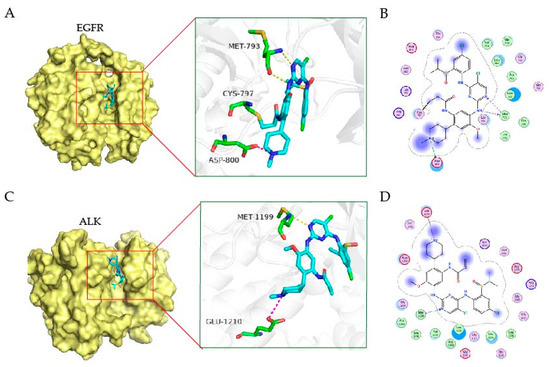 Novel Dual-Target Kinase Inhibitors of EGFR and ALK Were Designed ...