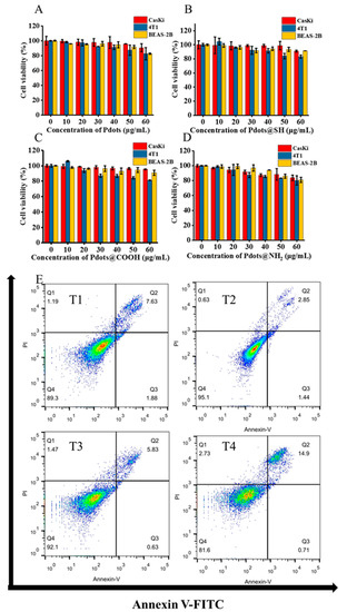 Biocompatibility and Biological Effects of Surface-Modified Conjugated ...