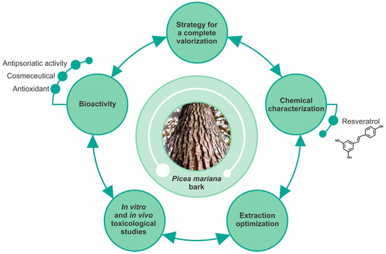 Bioactive Molecules from Myrianthus arboreus, Acer rubrum, and Picea ...