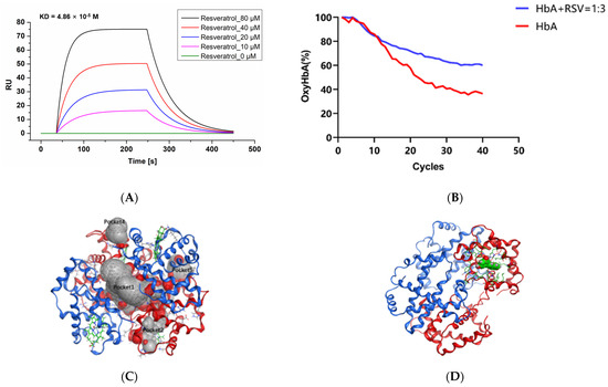 Resveratrol, a New Allosteric Effector of Hemoglobin, Enhances Oxygen ...