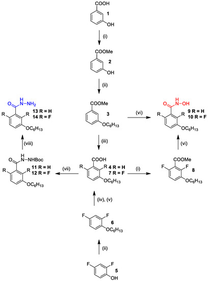 Importance of the 2,6-Difluorobenzamide Motif for FtsZ Allosteric ...