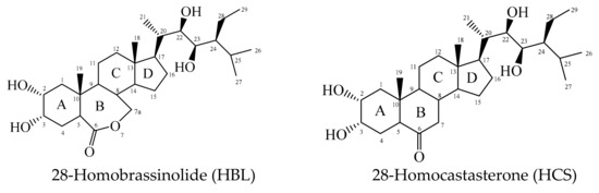 Structurally Different Exogenic Brassinosteroids Protect Plants under ...