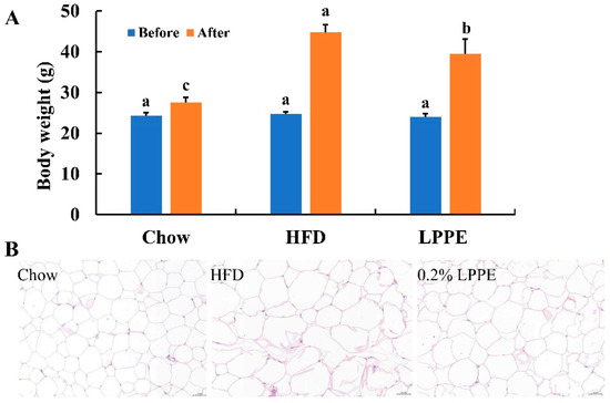 Polyphenol Profile, Antioxidant Activity, and Hypolipidemic Effect of ...