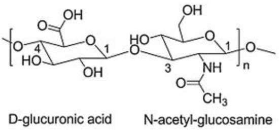 Microbial Hyaluronic Acid Production: A Review