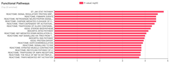 LncRNA-MALAT1: A Key Participant in the Occurrence and Development of ...