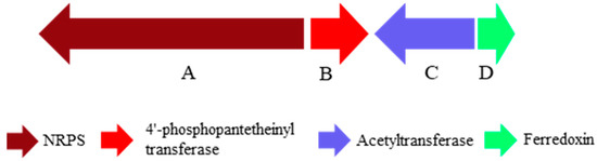 Investigation on Metabolites in Structure and Biosynthesis from the ...
