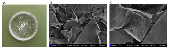 The Effect of Poria cocos Polysaccharide PCP-1C on M1 Macrophage ...
