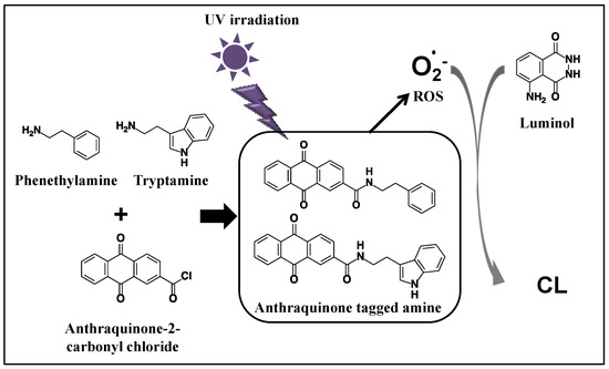 Determination of Anthraquinone-Tagged Amines Using High-Performance ...