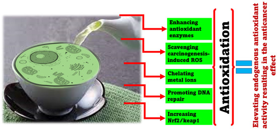 Anticancer Therapeutic Effects of Green Tea Catechins (GTCs) When ...