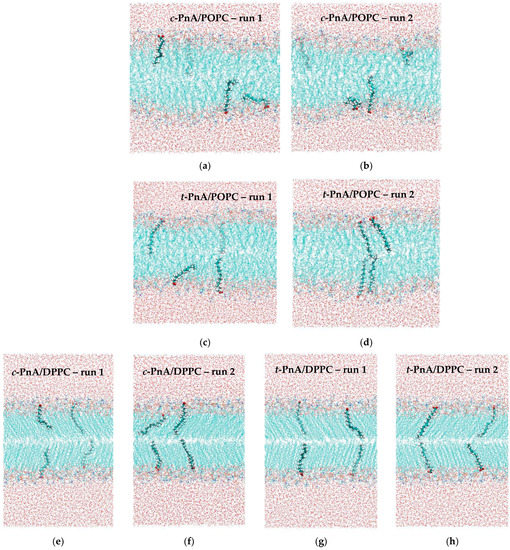 Fluorescent Probes cis- and trans-Parinaric Acids in Fluid and Gel ...