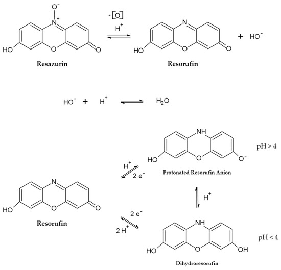 Resazurin Reduction-Based Assays Revisited: Guidelines for Accurate ...
