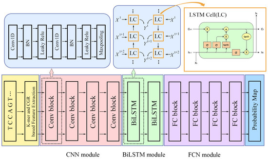 DeepmRNALoc: A Novel Predictor of Eukaryotic mRNA Subcellular ...